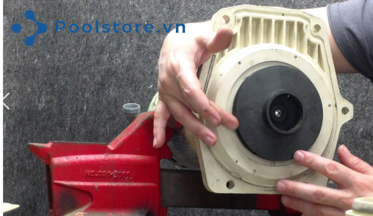 Phụ kiện Cánh quạt bơm lọc hồ bơi 2HP 355086 Pentair | Thiết bị hồ bơi ...